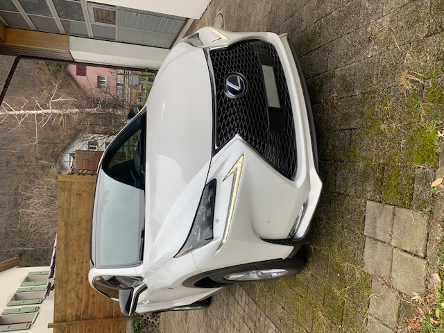 Luxus-Lexus NX 300h F Sport mit AWD - CHF 17.800